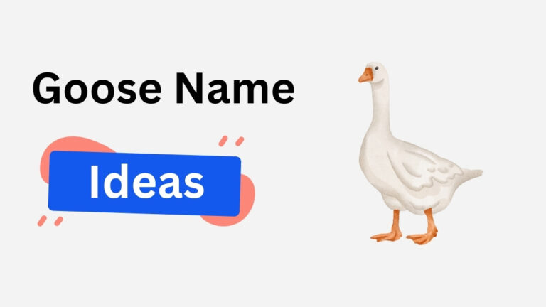 235+ Adorable Goose Names: Unique, Funny & Cute Choices