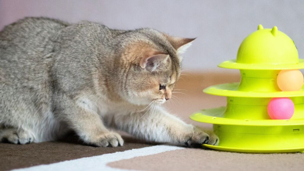 150+ Creative Cat Names Inspired by Fiction & Traditions