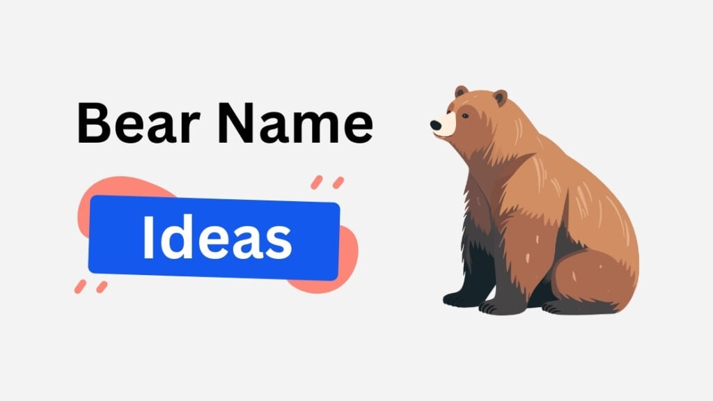 150+ Bear Names With Cute, Fluffy, and Famous Choices
