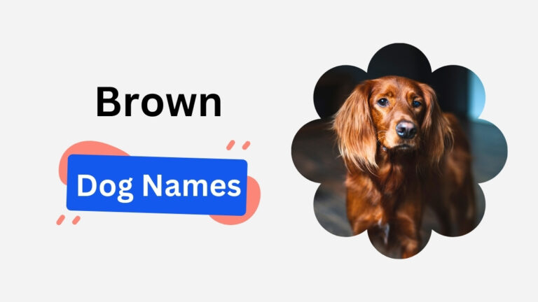 280+ Brown Dog Names (Warm, Rustic, Earthy, Cozy & Coffee-Inspired)