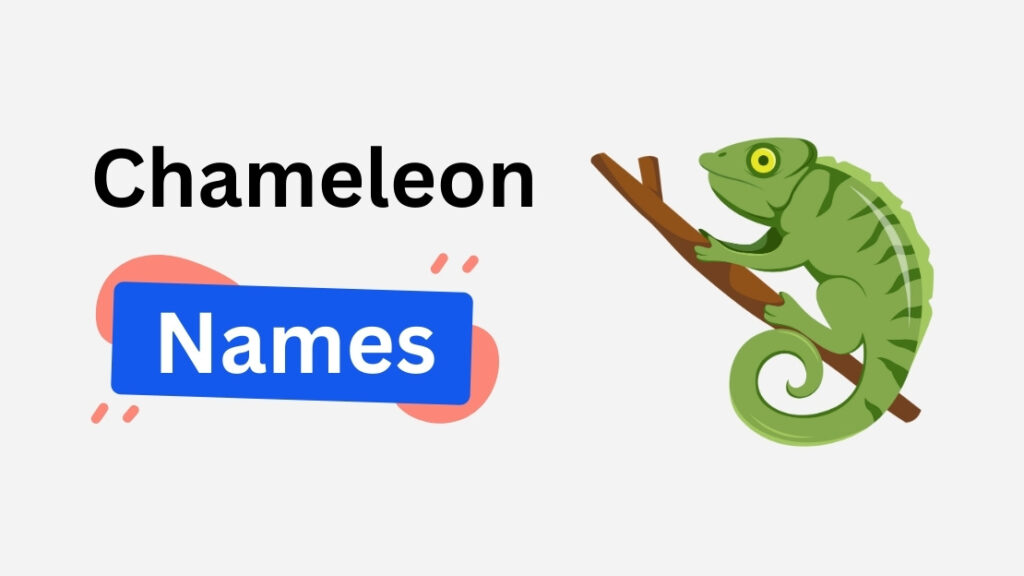 230+ Popular, Cute, Funny & Unique Chameleon Names