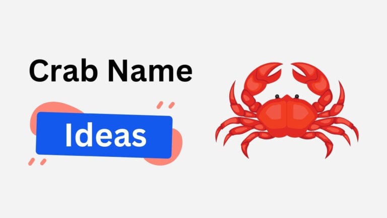 350+ Crab Names With Popular, Famous, and Cute Choices