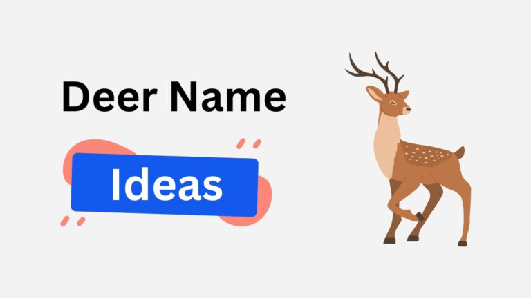100+ Creative Deer Names Inspired by Nature, Myth & Seasons