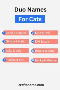 800+ Amazing Duo Names For Any Pair Or Team (2026)