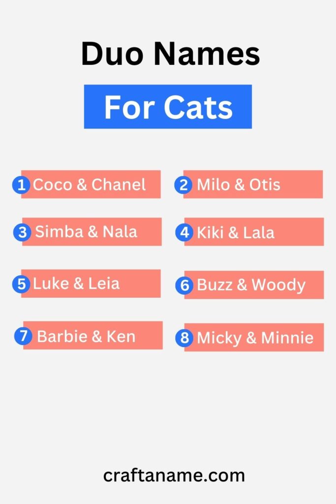 800+ Amazing Duo Names For Any Pair Or Team (2025)