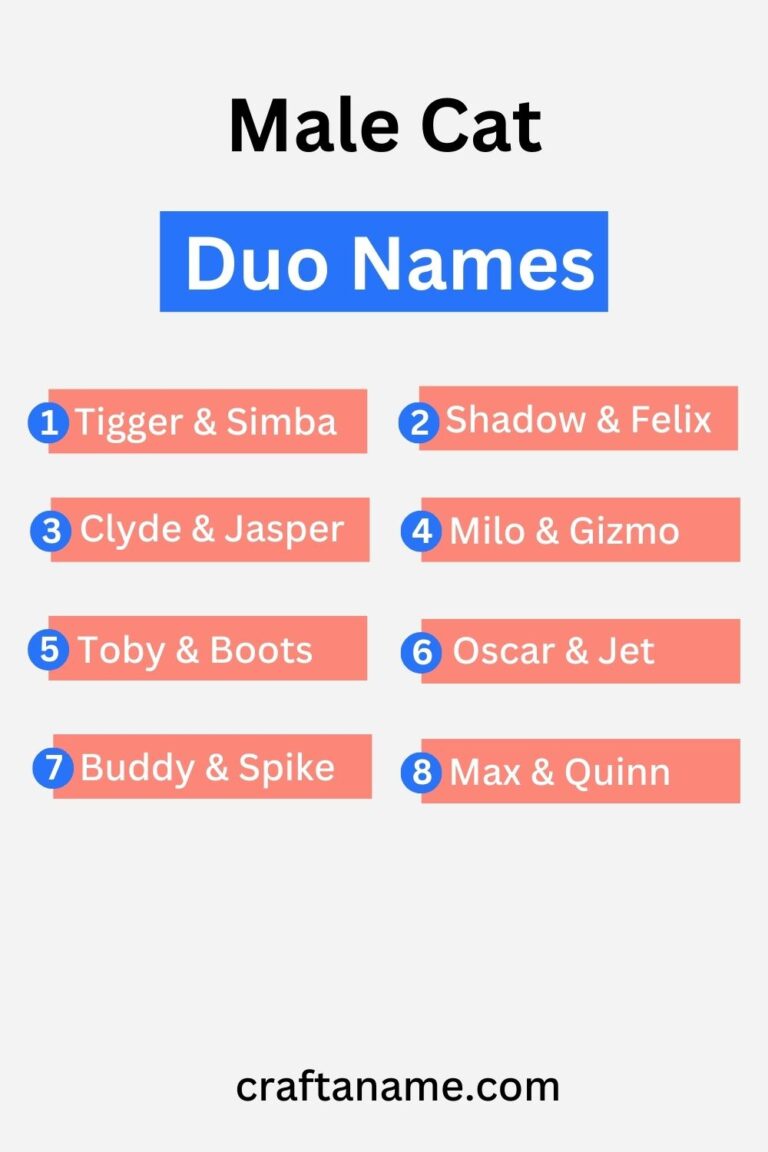 500+ Unique Male Duo Names For All Contexts