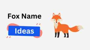 250+ Fox Names with Cute, Clever & Funny Choices (2025)