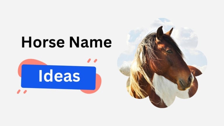 250+ Alpaca Names: Cute, Funny, Cool, and More to Explore