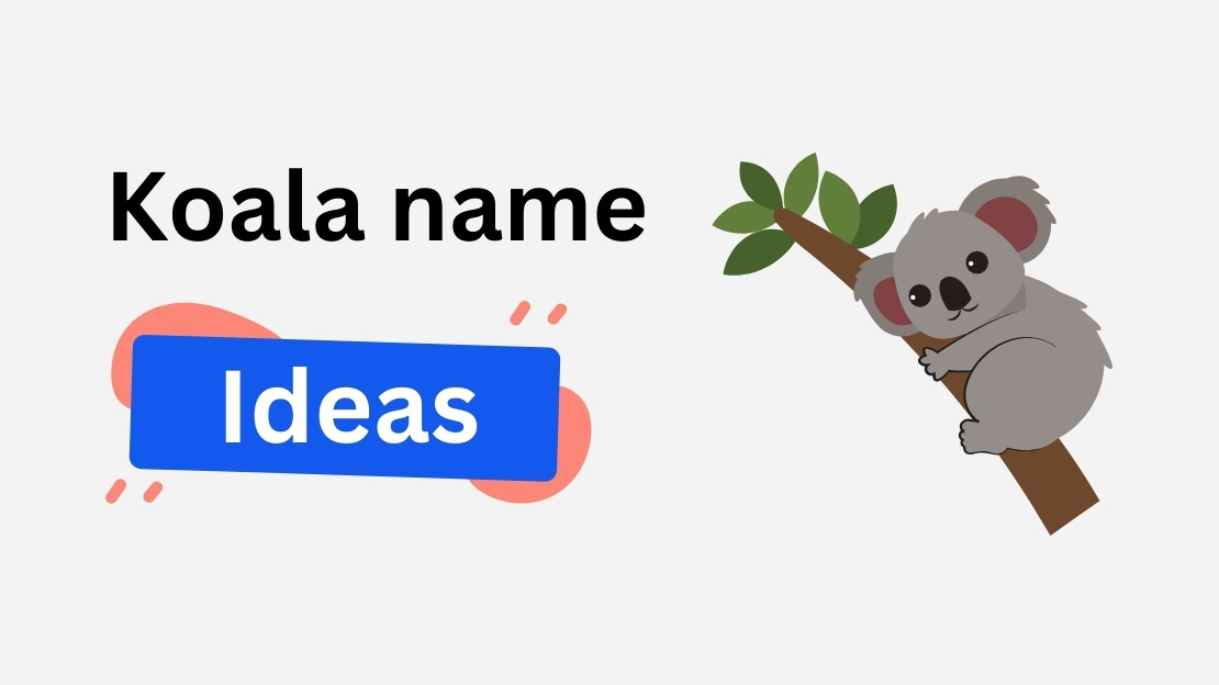 200+ Popular, Cute, & Unique Koala Names (2025)