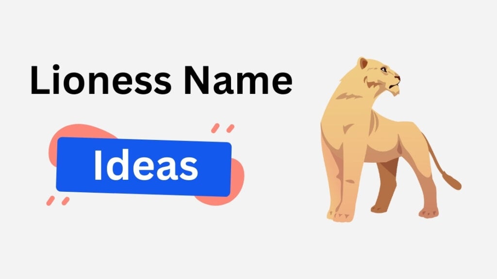 300+ Strong Lioness Names: Funny, Mythical, & More