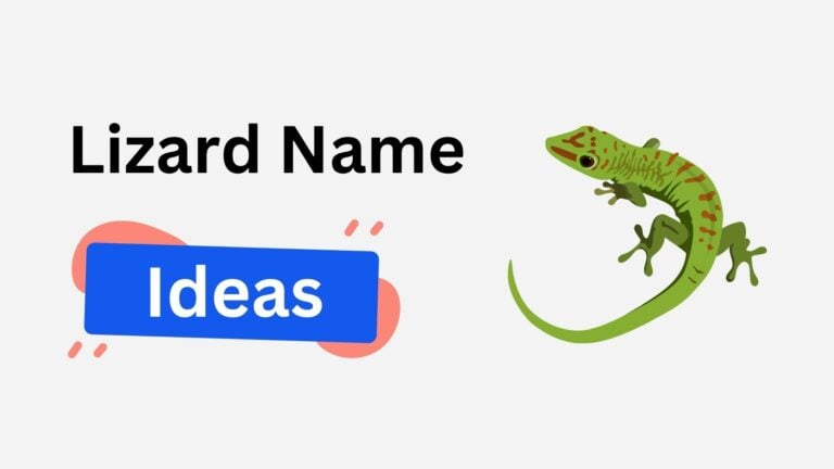 300+ Lizard Names with Cute, Funny, and Mythological Options