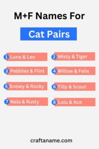480+ Cool Male and Female Duo Names That Go Together
