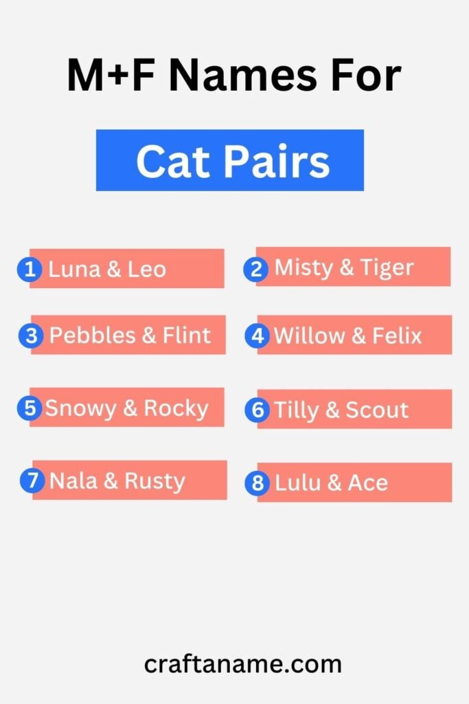 480+ Cool Male and Female Duo Names That Go Together