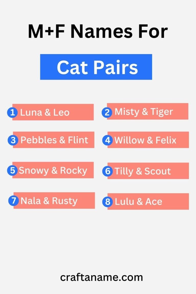 480+ Cool Male and Female Duo Names That Go Together