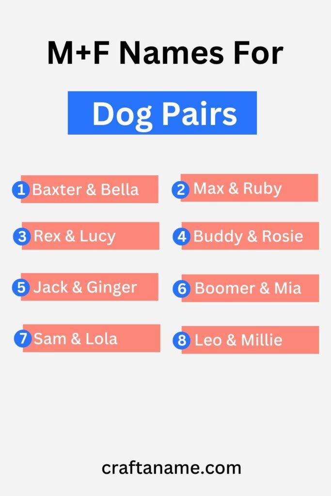 480+ Cool Male and Female Duo Names That Go Together