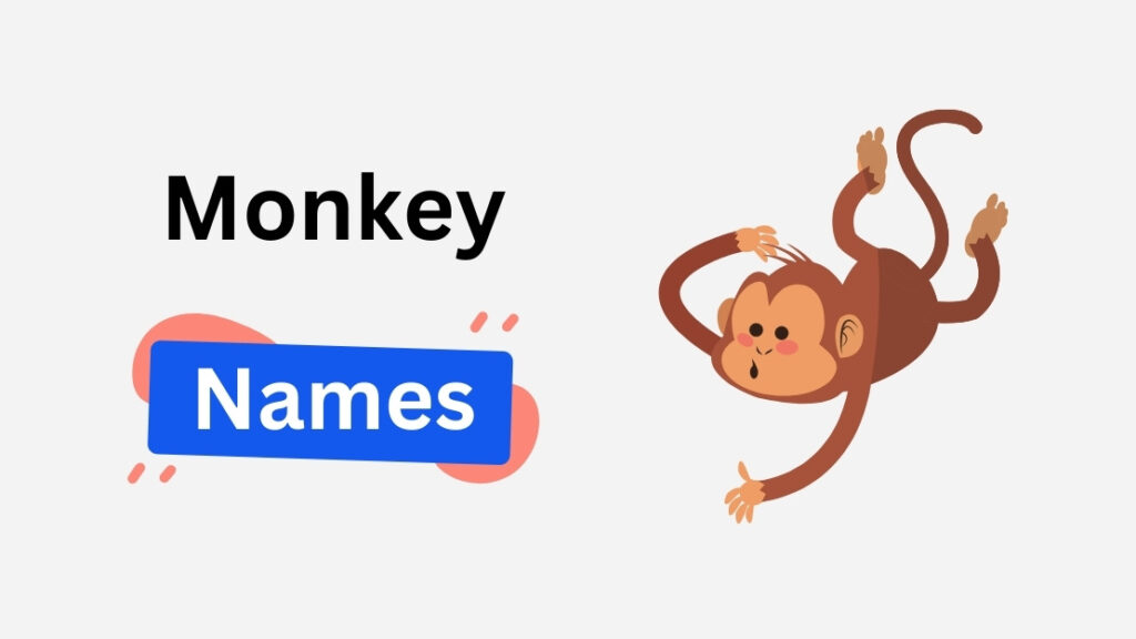 150+ Catchy Monkey Names: Top Picks for Your Playful Buddy