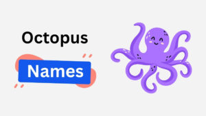 130+ Catchy, Popular & Cute Octopus Names (2025)