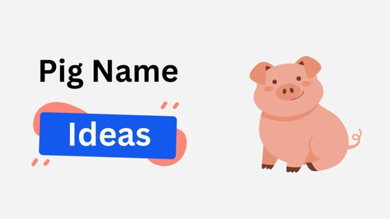 115+ Funny, Adorable & Cute Pig Names (2026)