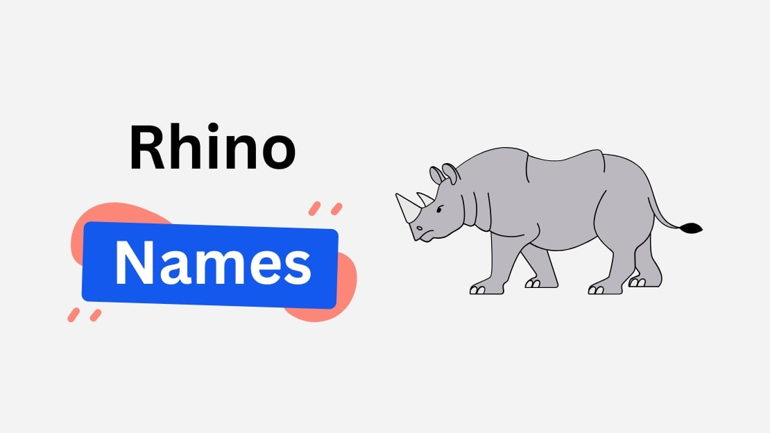 344+ Rhino Names with Popular, Mythical, Species-Specific, and Unique ...