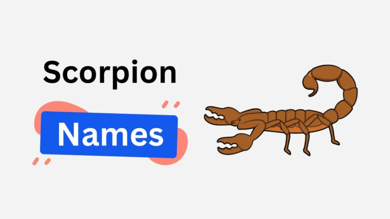 290+ Scorpion Names That Exude Coolness & Legendary Vibes