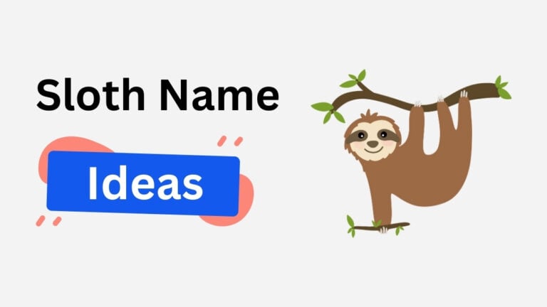 150+ Cute, Unique & Funny Sloth Names: Choose Yours Now!