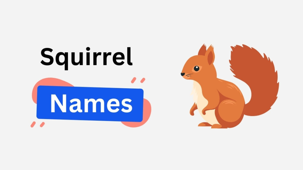300+ Catchy Squirrel Names: Famous and Funny Choices