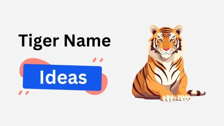 280+ Tiger Names: Cool, Famous, and Mythological Titles