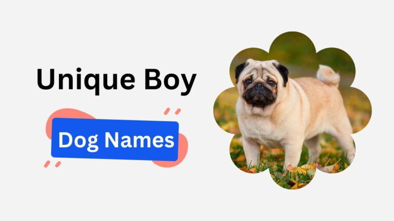 300+ Unique Boy Dog Names (Strong, Soft, Mythical, Modern & One-of-a-Kind)