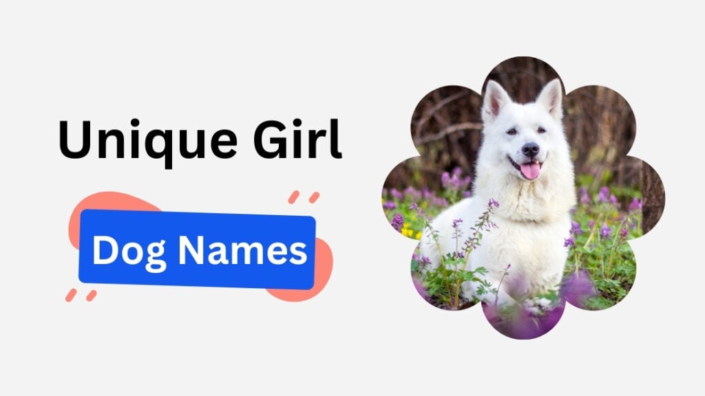 240+ Unique Girl Dog Names (Soft, Whimsical, Nature, Vintage & Modern)