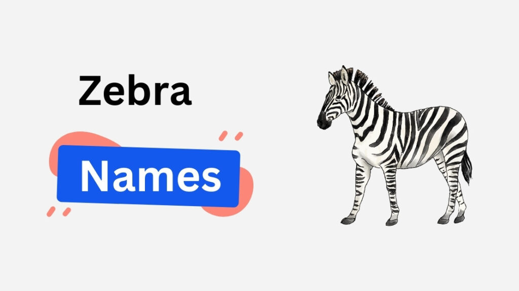 100+ Unique Zebra Names for Your Striped Friend (2025)